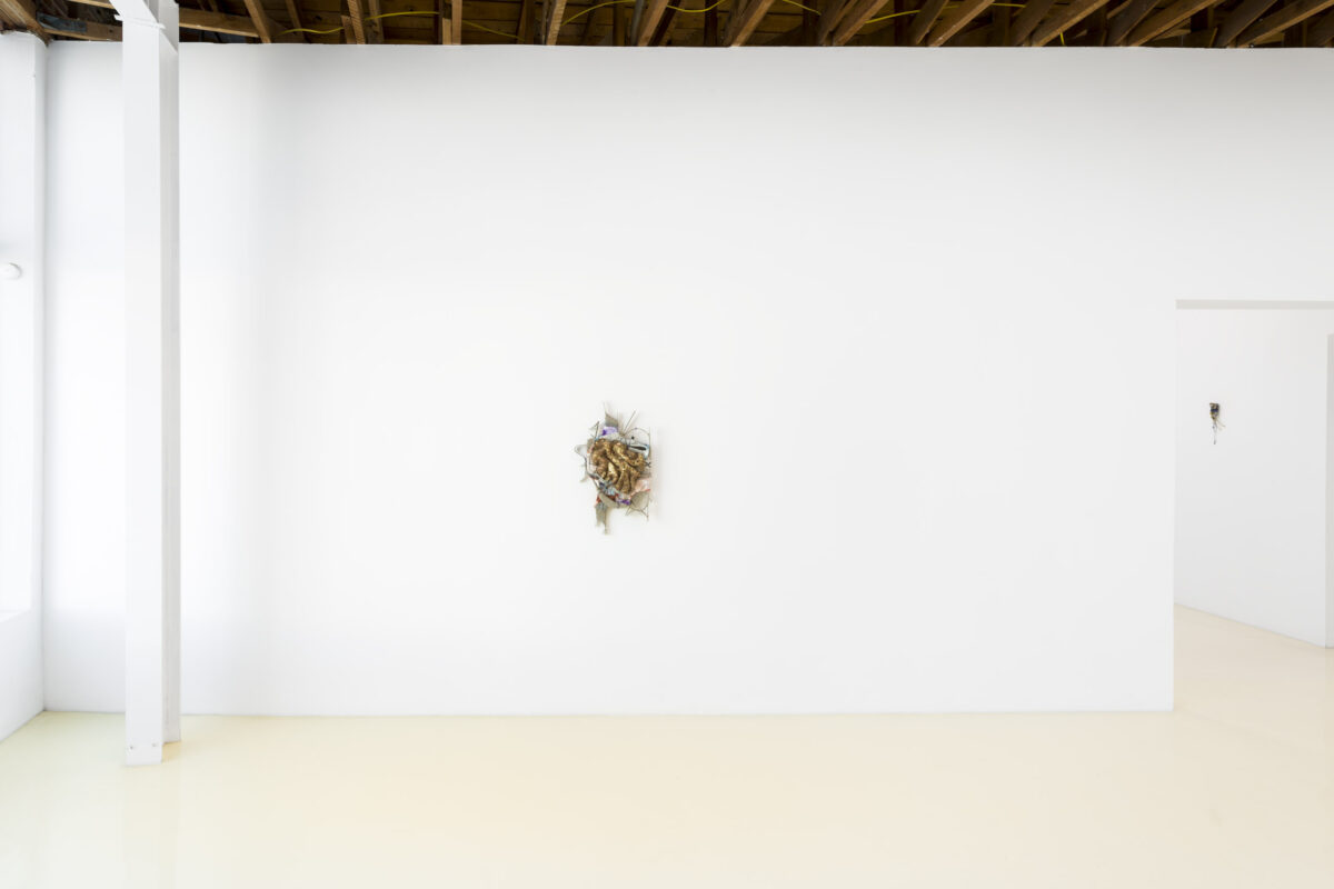 Isabel Nuño de Buen at Chris Sharp Gallery – Art Viewer