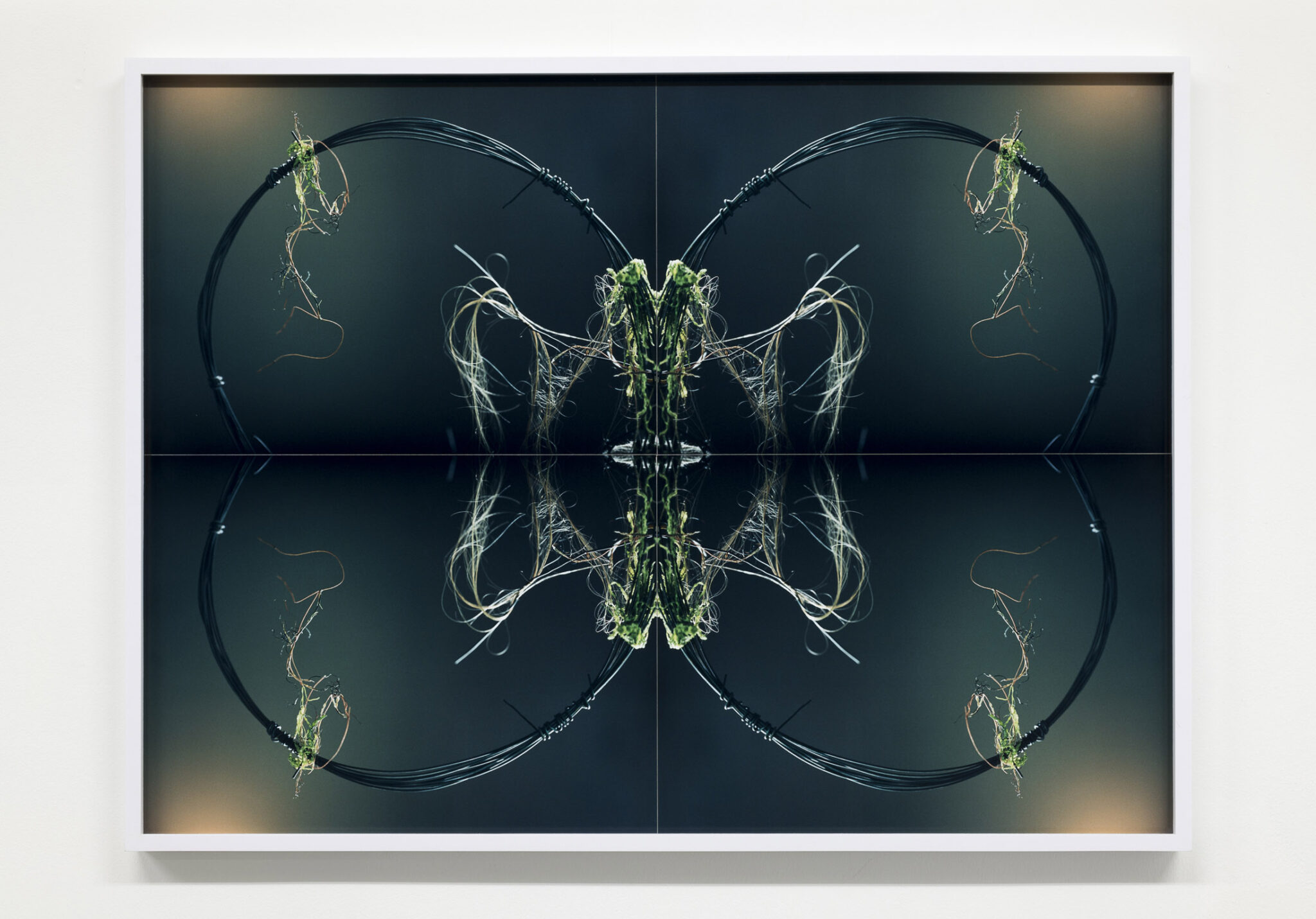 Josephine Pryde at Centre d’art contemporain-la synagogue de Delme ...