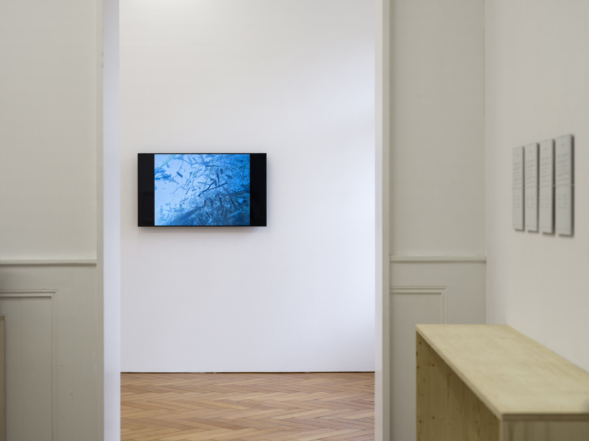 Karen Amanda Moser at Stadtgalerie Bern – Art Viewer