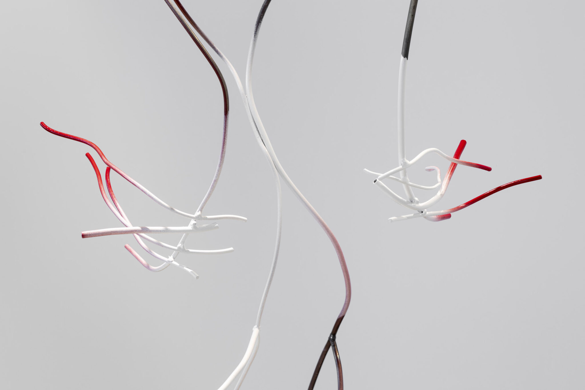 Zuza Golińska at KIN – Art Viewer