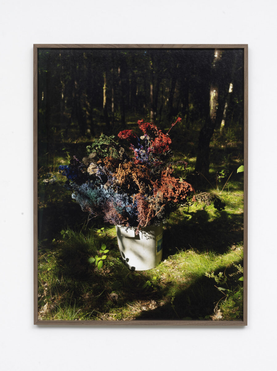 David Roth at Dürst Britt & Mayhew – Art Viewer
