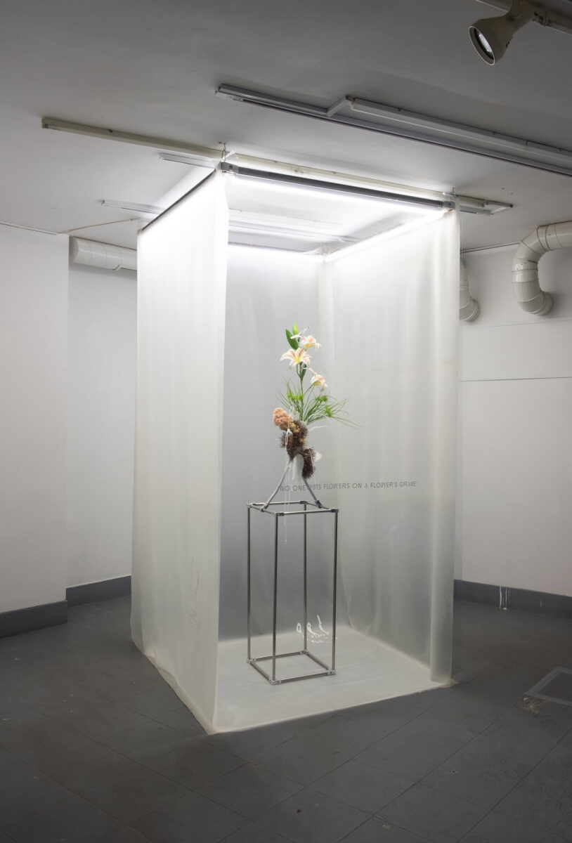 Emir Šehanović at Gallery Cu29 – Art Viewer