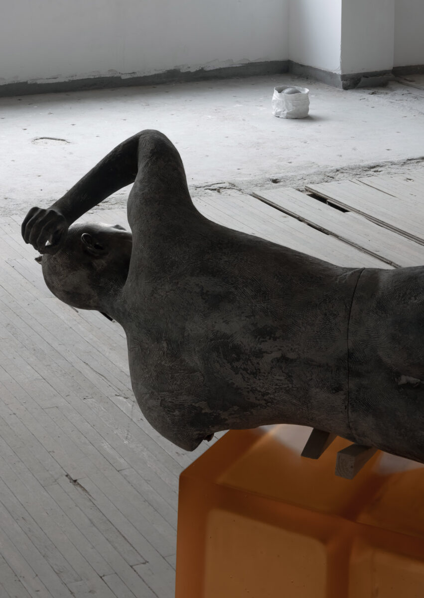 He Xiangyu at Sifang Art Museum – Art Viewer