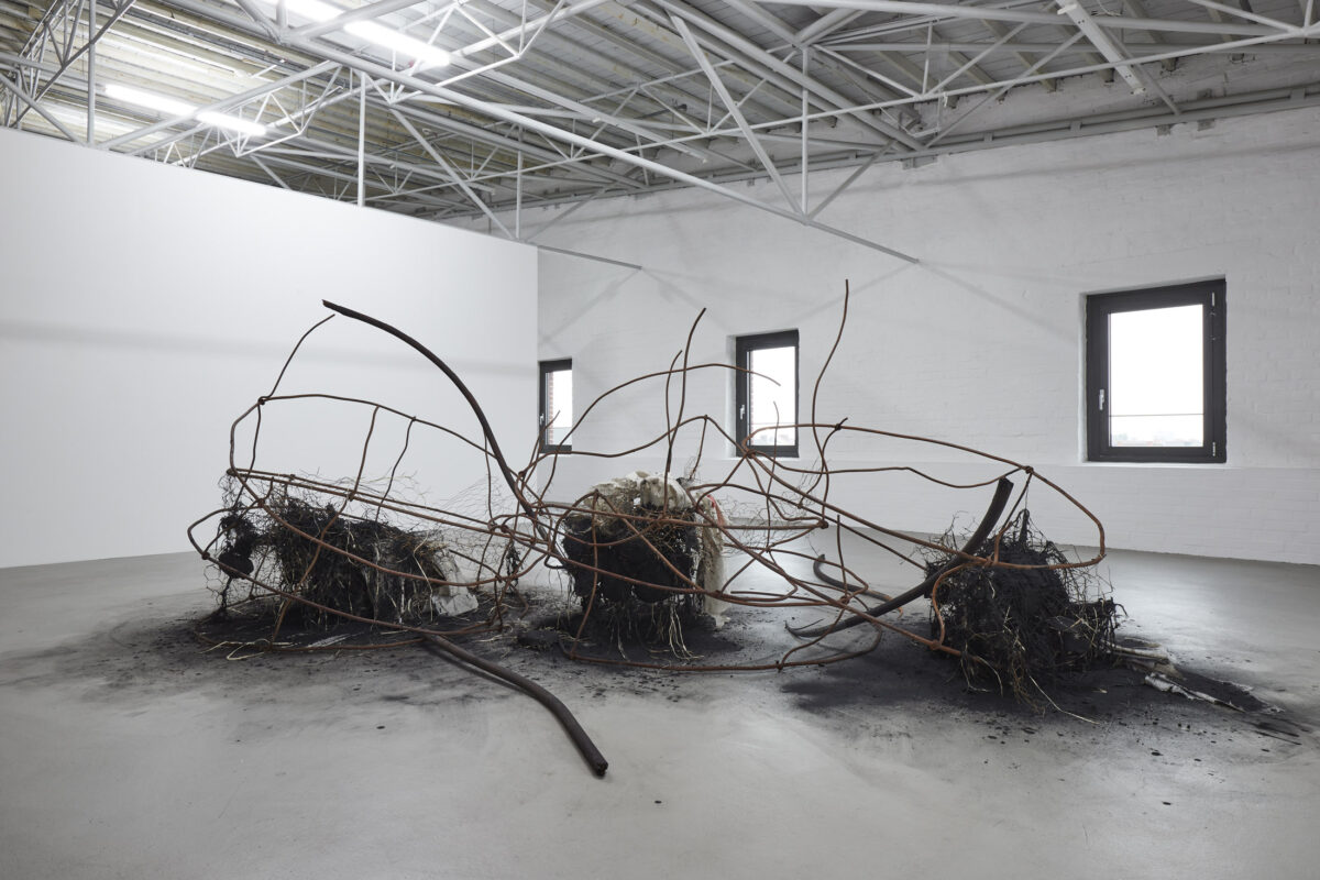 Dominique White at Kunsthalle Münster – Art Viewer