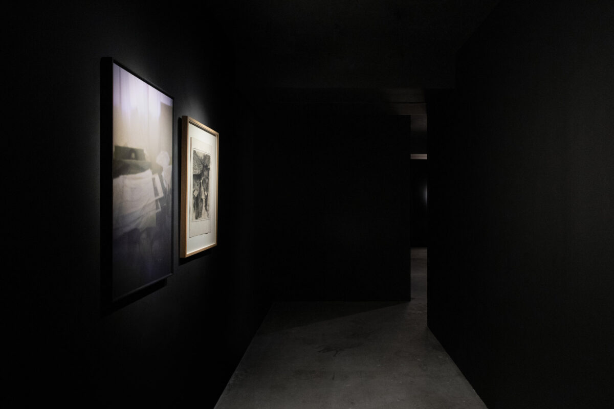 Doris Guo at Empty Gallery – Art Viewer