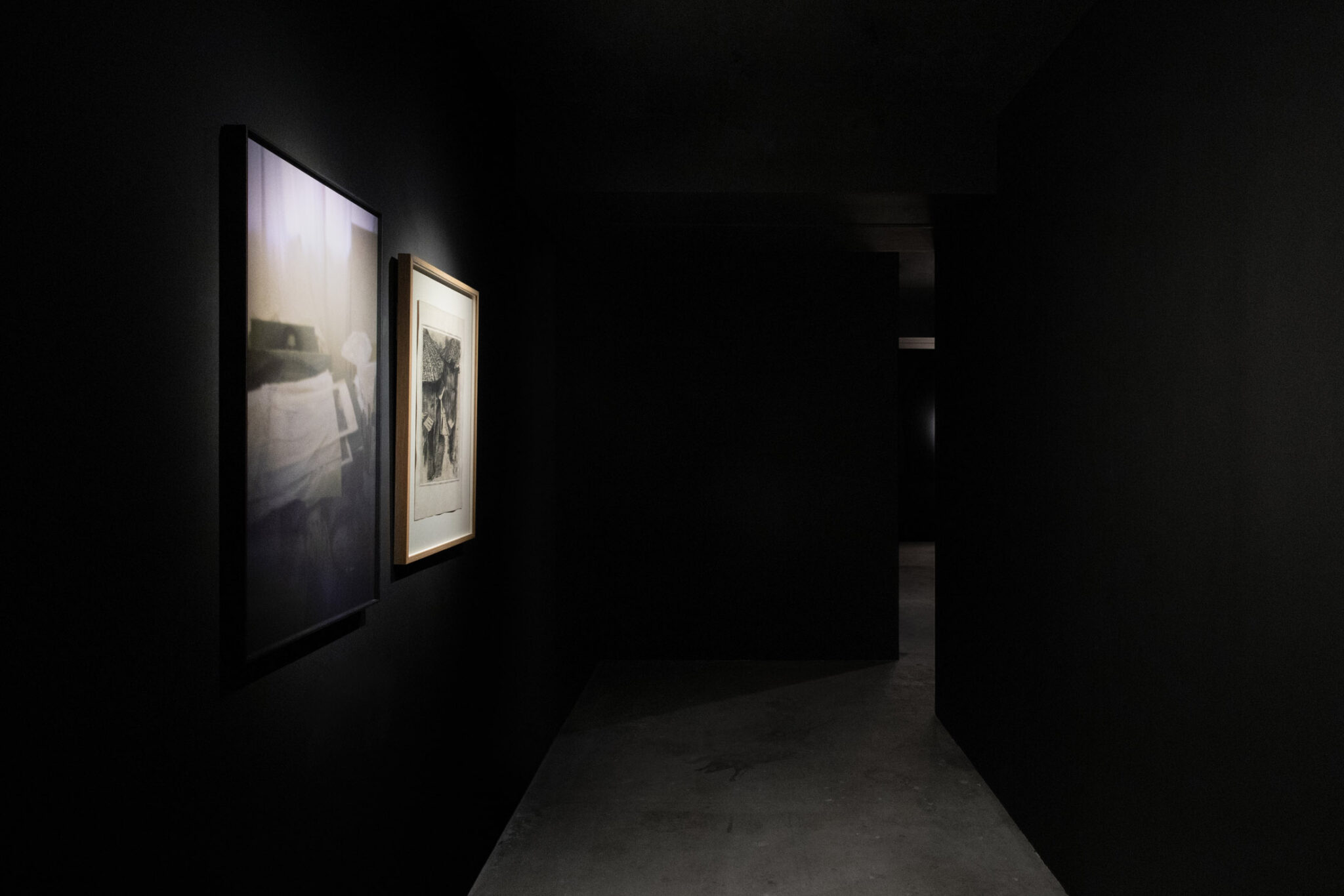 Doris Guo at Empty Gallery – Art Viewer