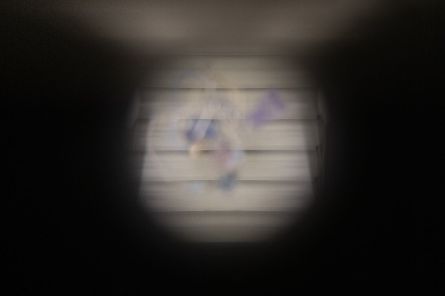 Doris Guo at Empty Gallery – Art Viewer