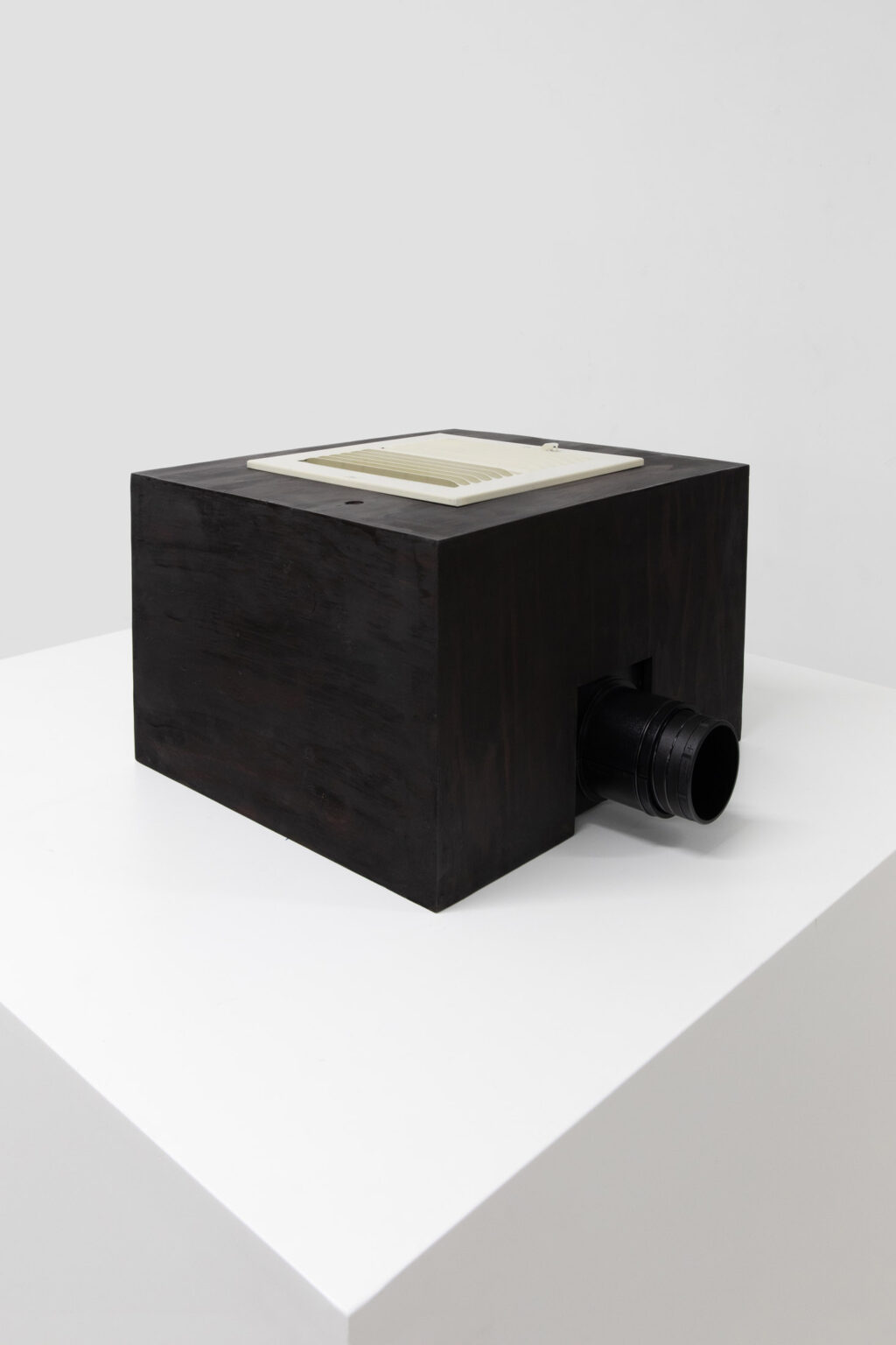 Doris Guo at Empty Gallery – Art Viewer