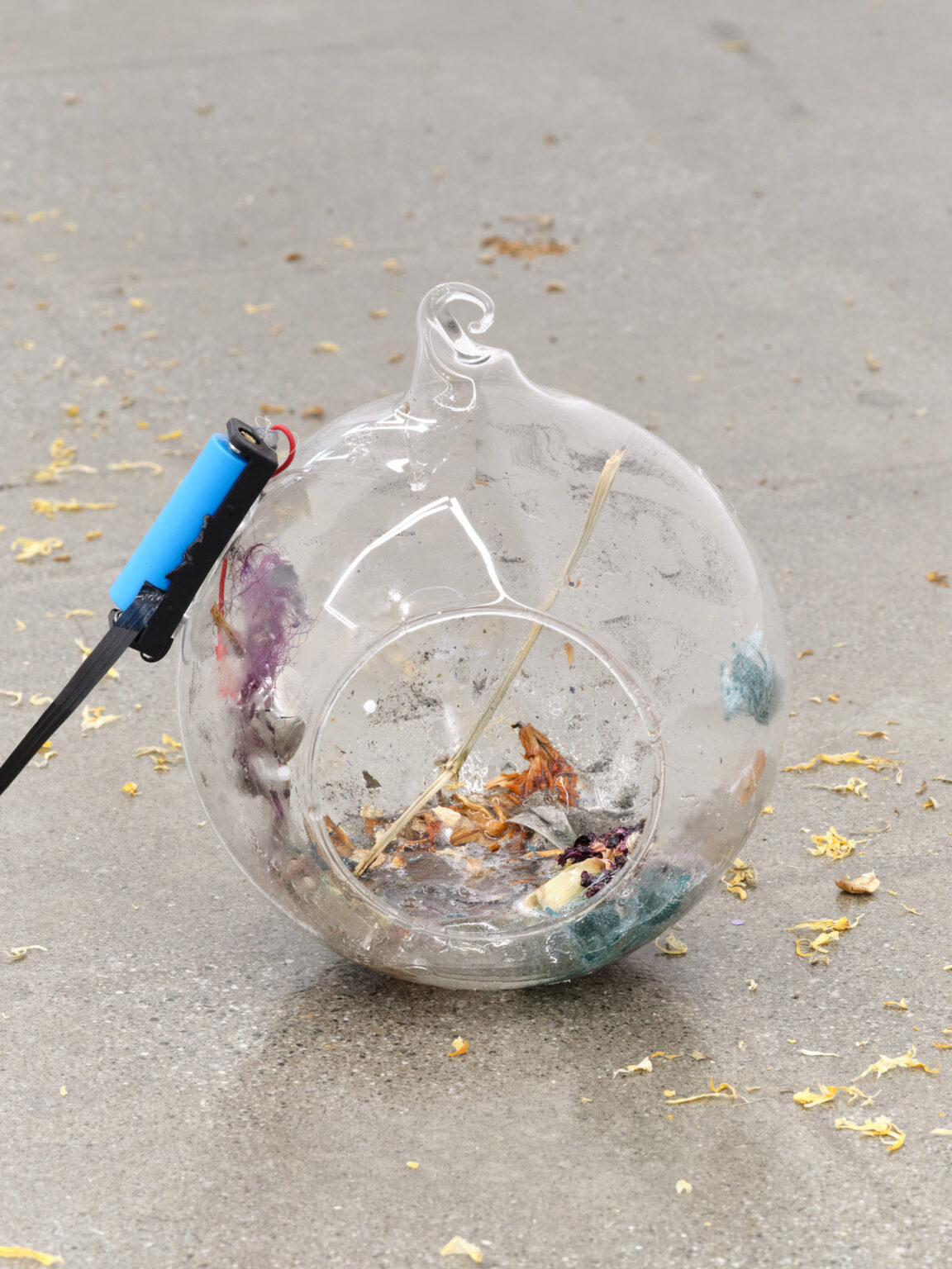 Mimi Park – Art Viewer