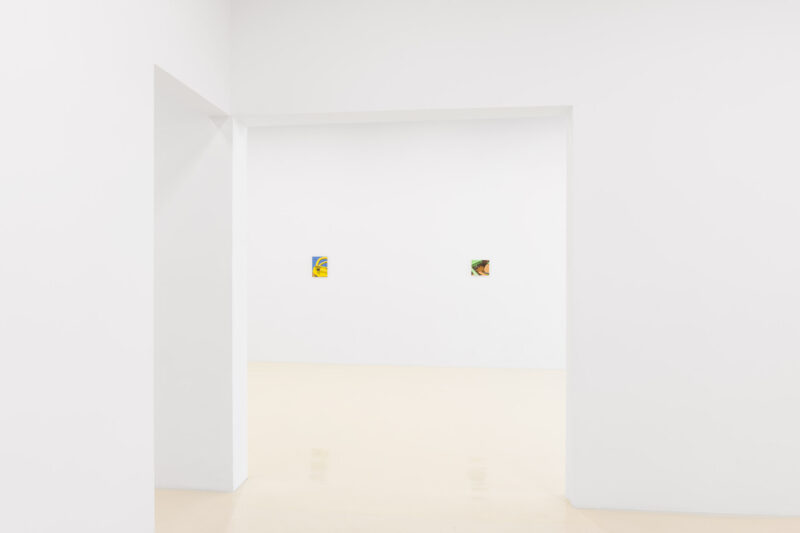 Altoon Sultan at Chris Sharp Gallery – Art Viewer