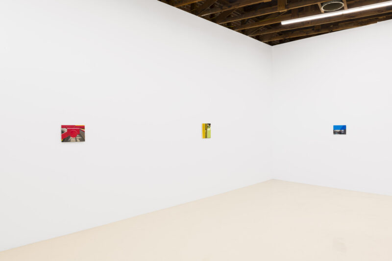 Altoon Sultan at Chris Sharp Gallery – Art Viewer