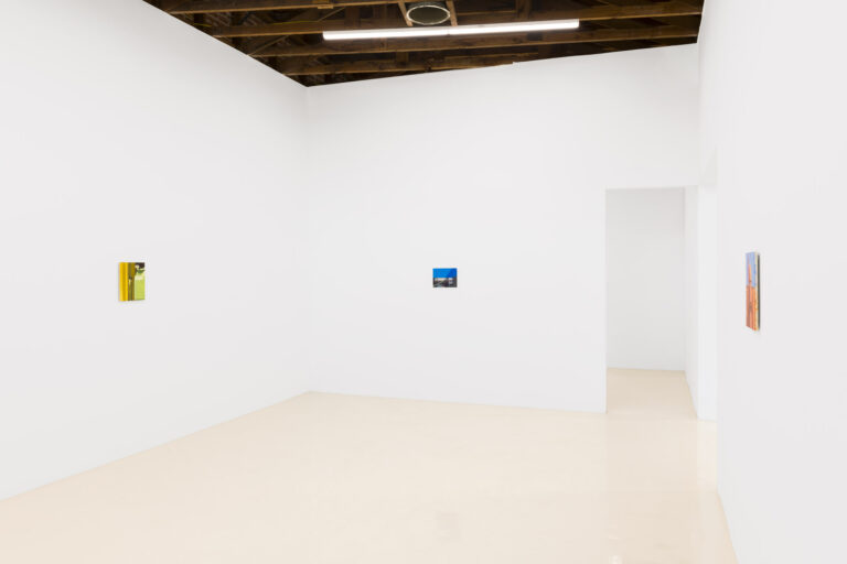 Altoon Sultan at Chris Sharp Gallery – Art Viewer