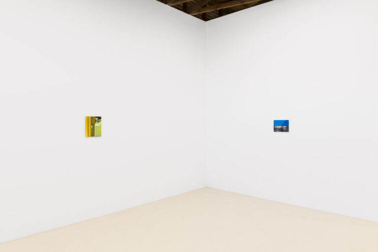 Altoon Sultan at Chris Sharp Gallery – Art Viewer