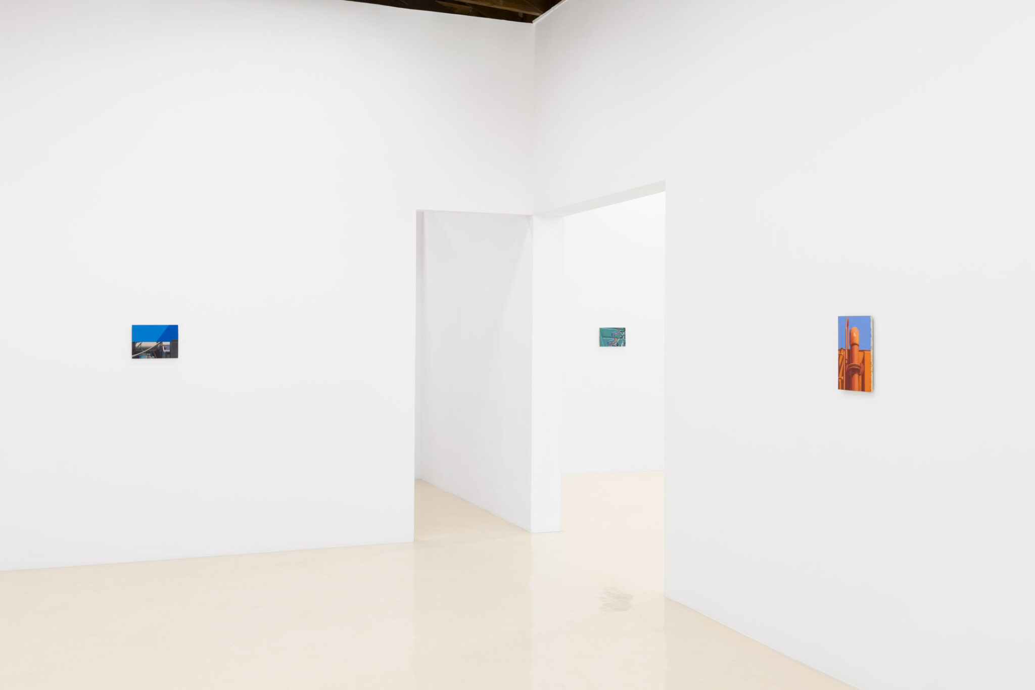 Altoon Sultan at Chris Sharp Gallery – Art Viewer