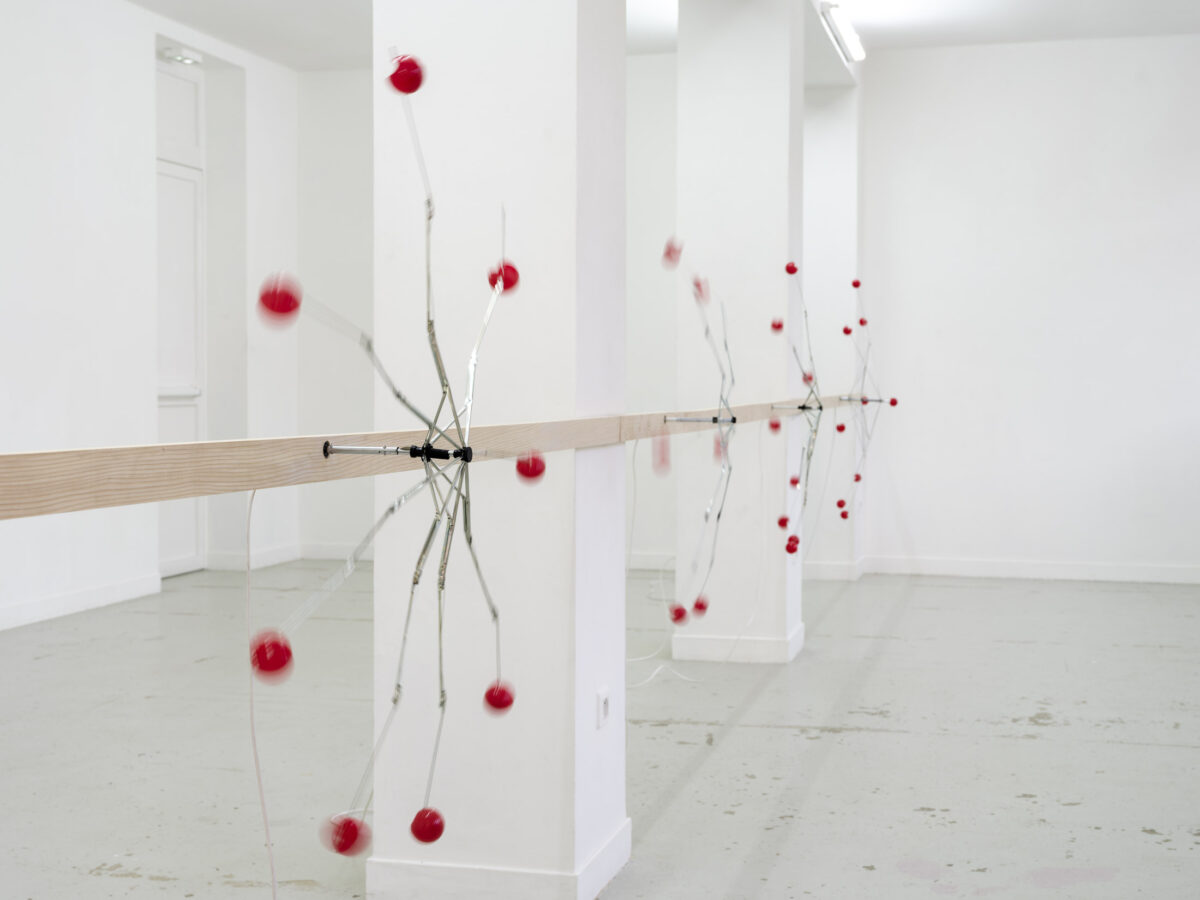 Clémentine Adou at Les Bains-Douches – Art Viewer