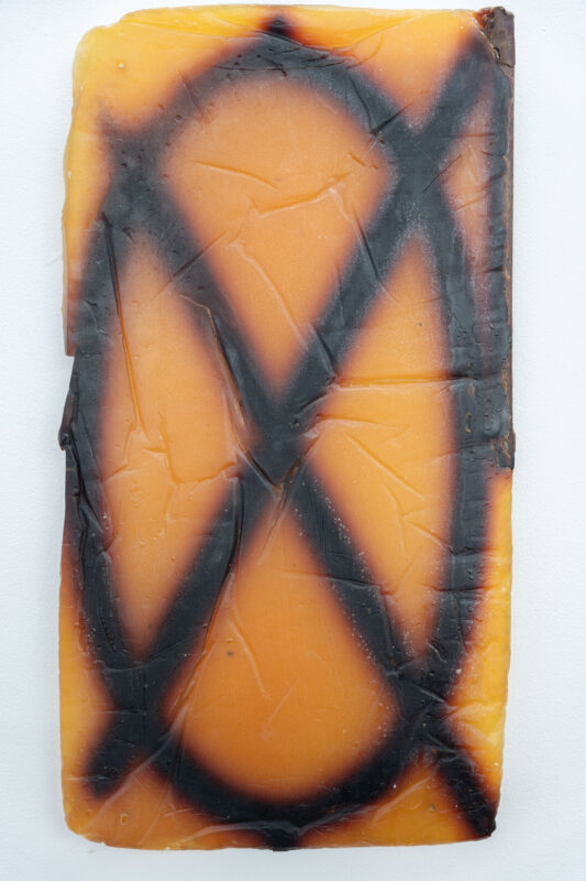 Oshay Green and Bri Williams at Dvir Gallery – Art Viewer