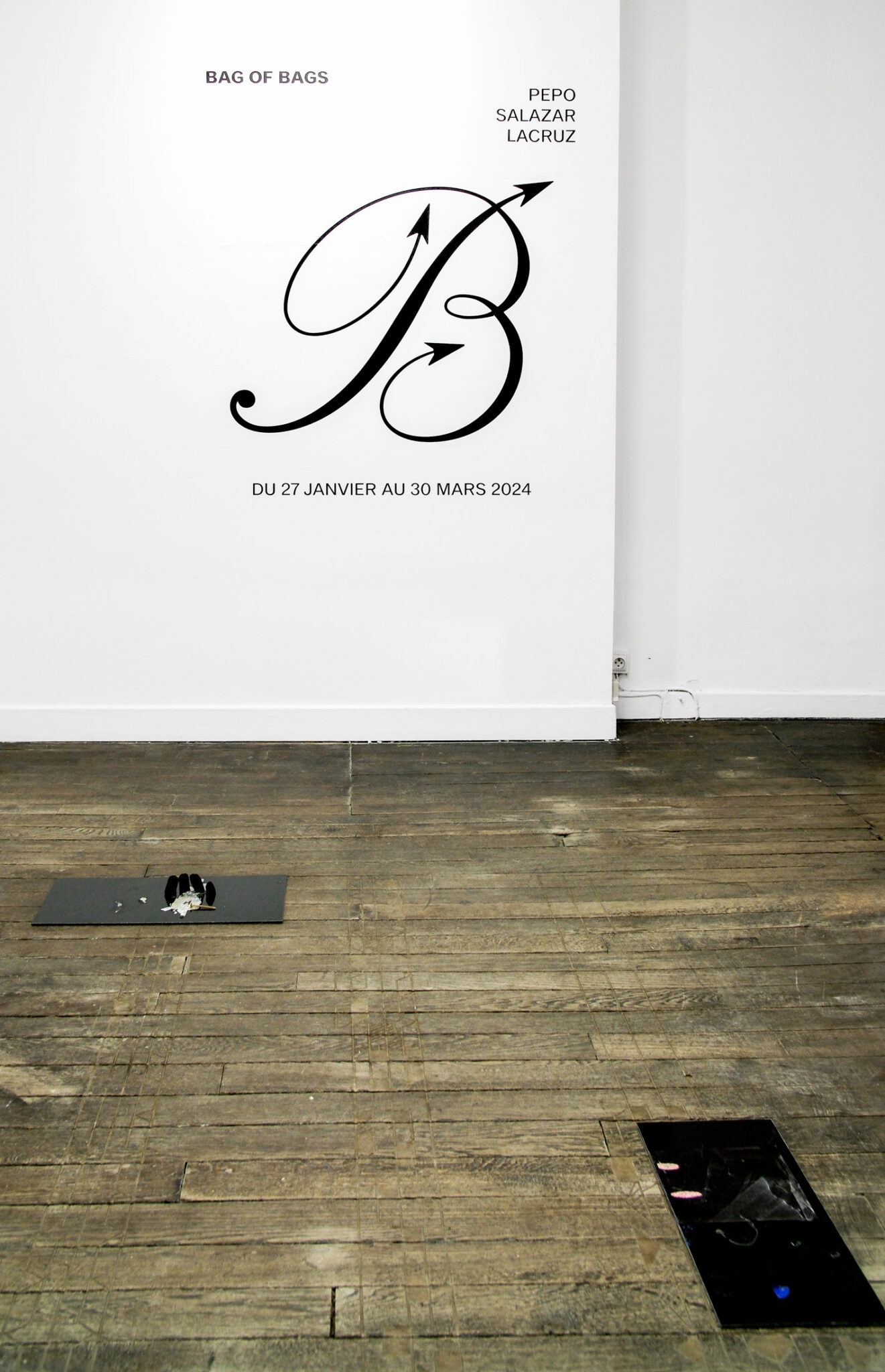 Pepo Salazar at Passages Centre d’Art Contemporain – Art Viewer