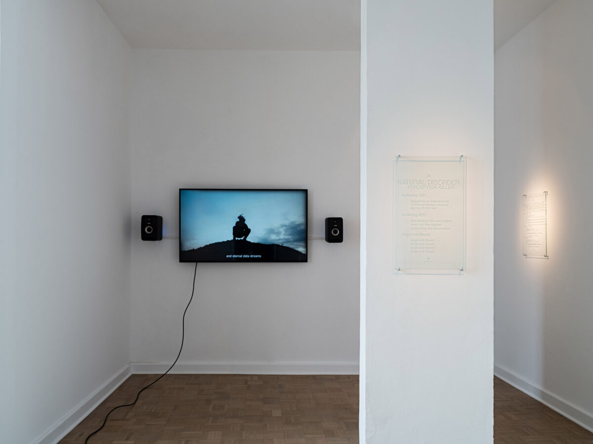 AM I A MONSTER? at Kunstverein Bielefeld – Art Viewer