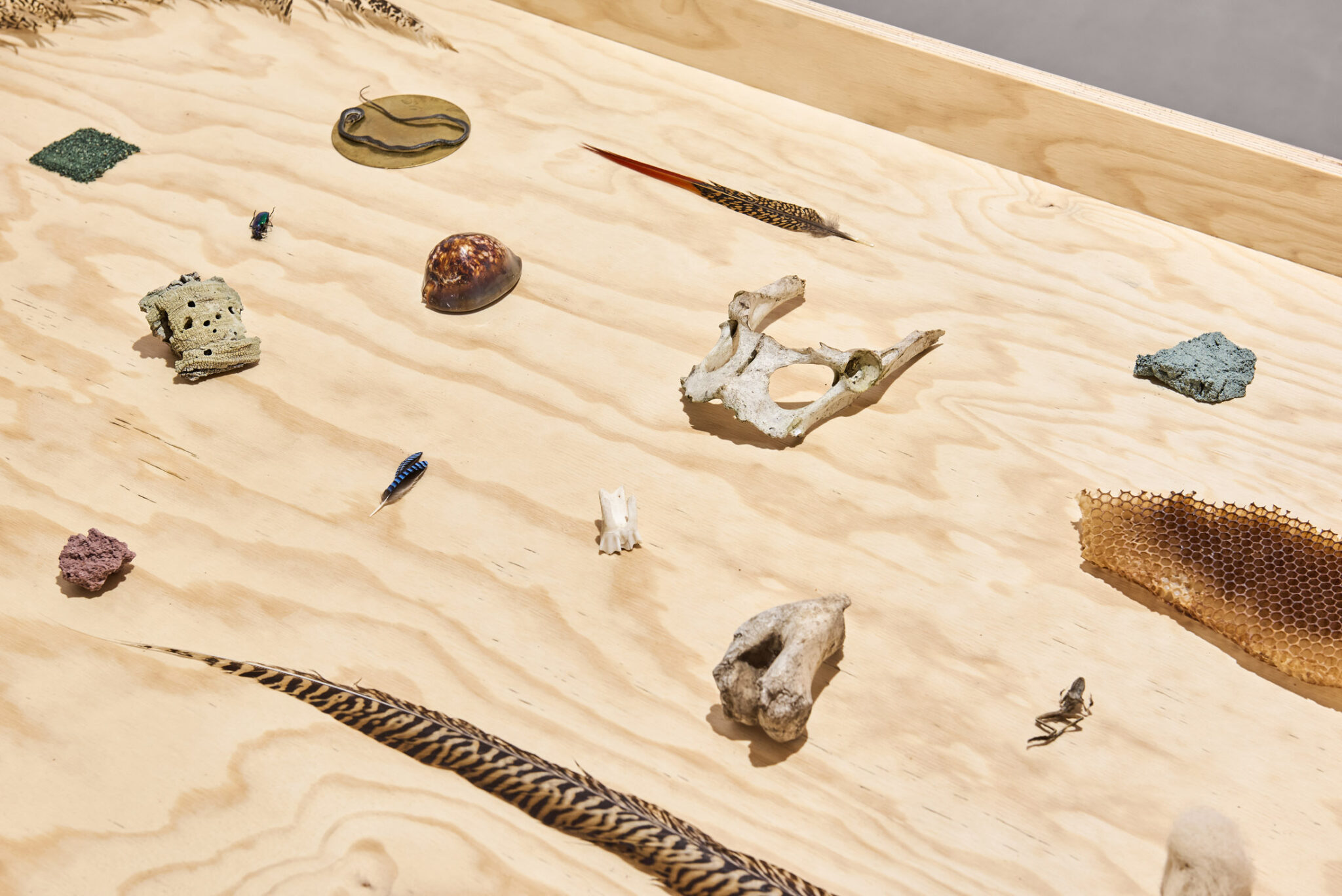 Pietro Fachini at ArtNoble Gallery – Art Viewer