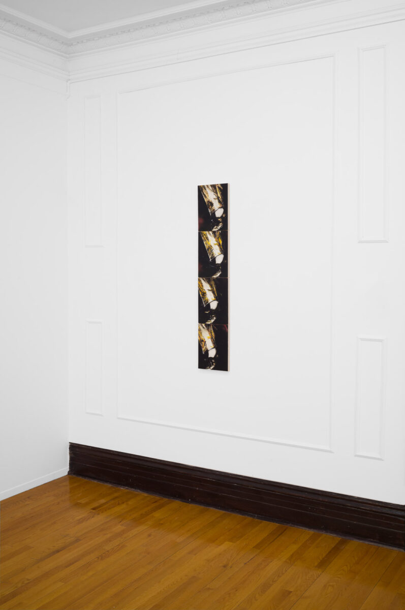 Cristine Brache & Michael Thompson at Pangée – Art Viewer