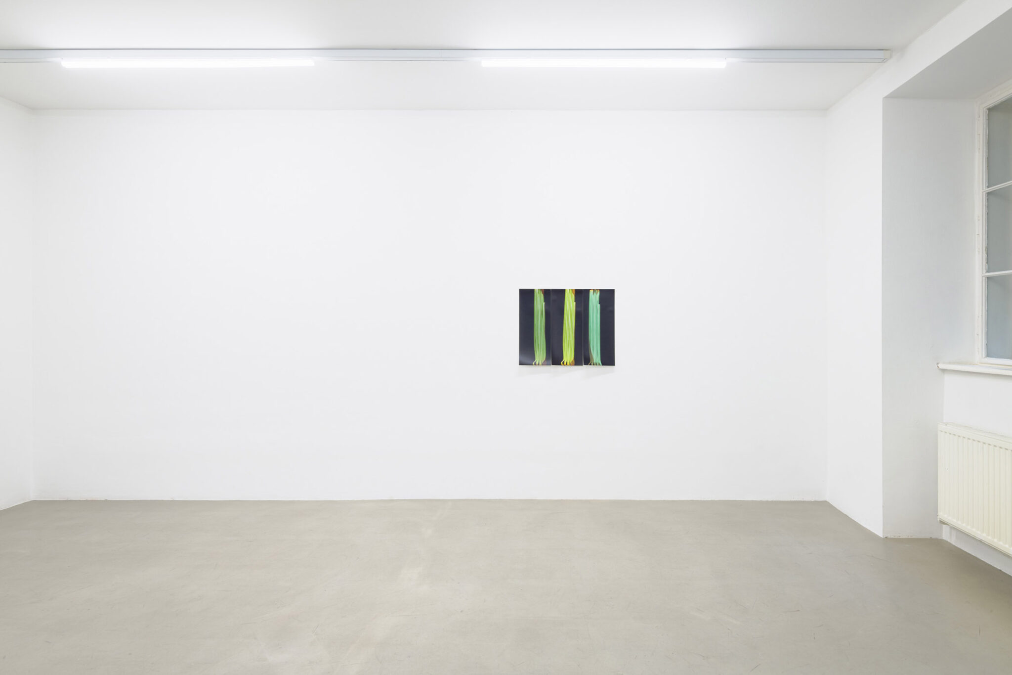 Philipp Fleischmann at Wonnerth Dejaco – Art Viewer