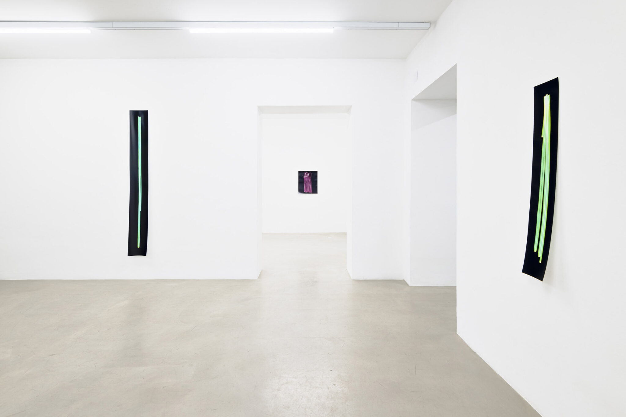 Philipp Fleischmann at Wonnerth Dejaco – Art Viewer
