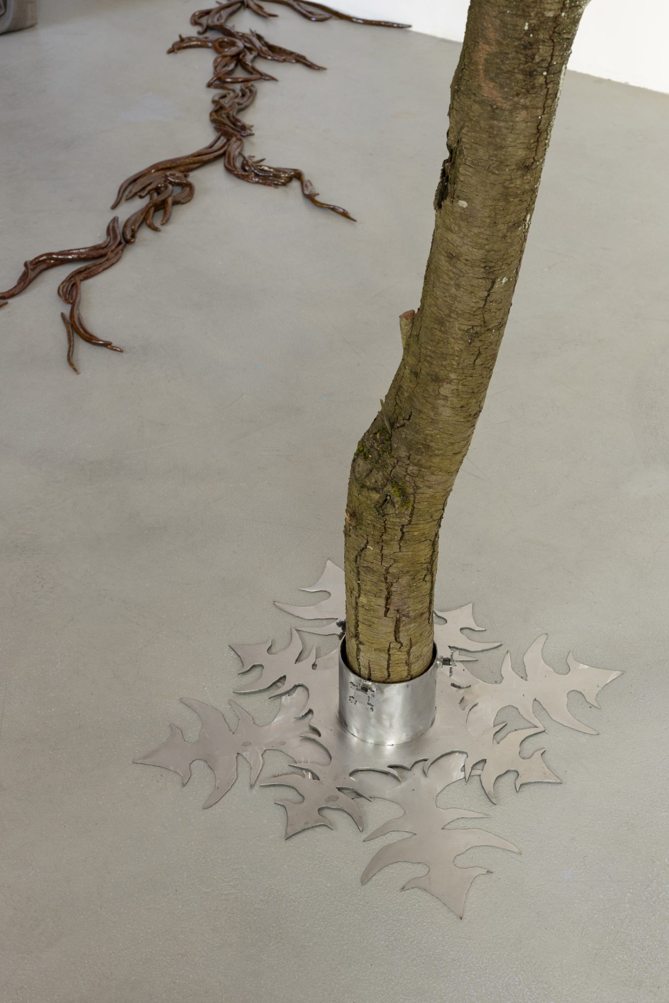 Aleksandra Liput at SIC! Gallery BWA Wrocław – Art Viewer
