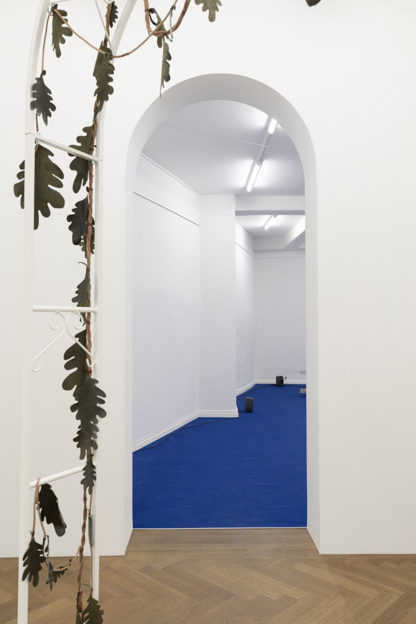 First Impressions at KRONE COURONNE – Art Viewer