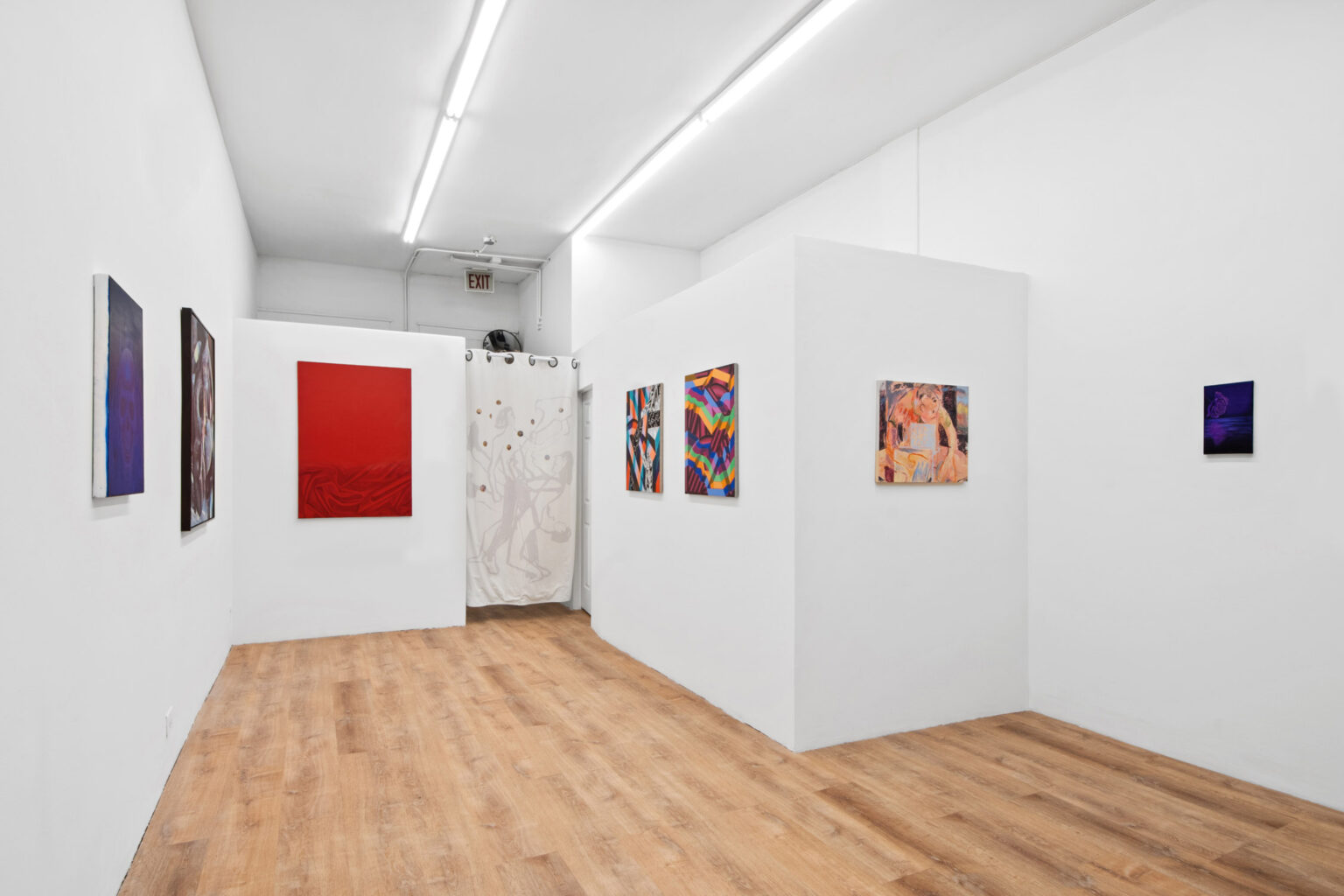 The Veil at Twelve Ten Gallery – Art Viewer