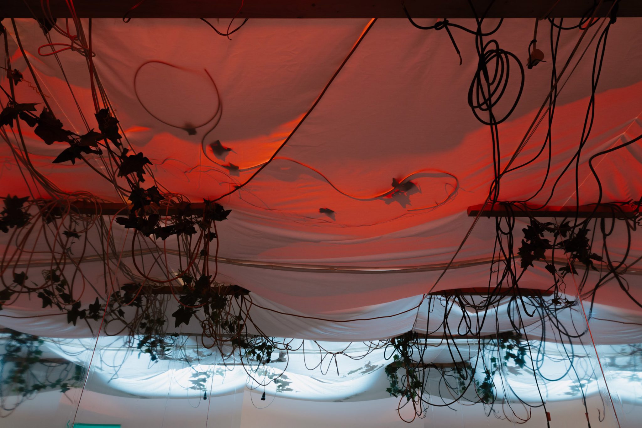 Riar Rizaldi at Z33 – Art Viewer