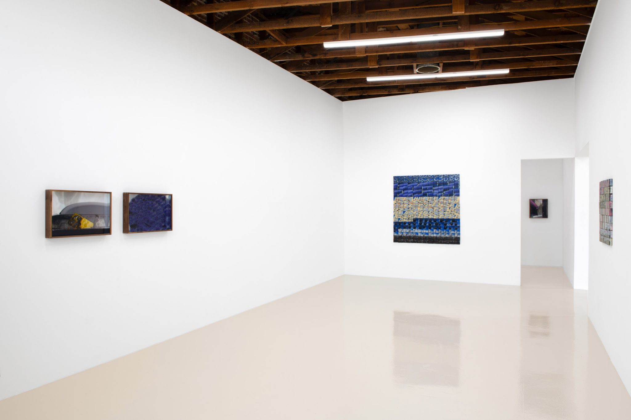 Evian Wenyi Zhang at Chris Sharp Gallery – Art Viewer