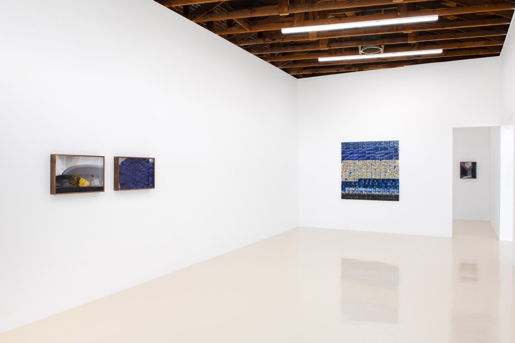 Evian Wenyi Zhang at Chris Sharp Gallery – Art Viewer