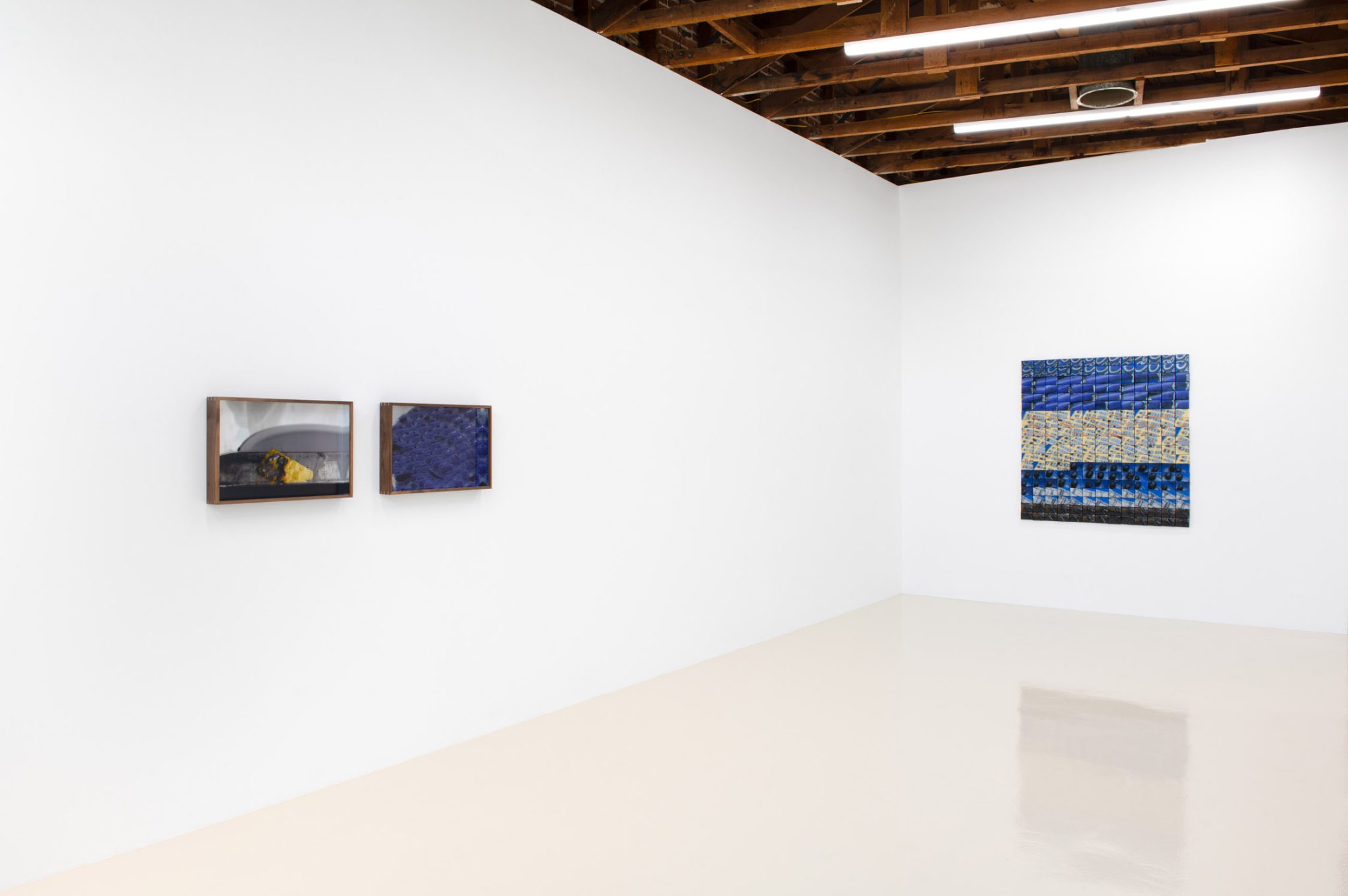 Evian Wenyi Zhang at Chris Sharp Gallery – Art Viewer