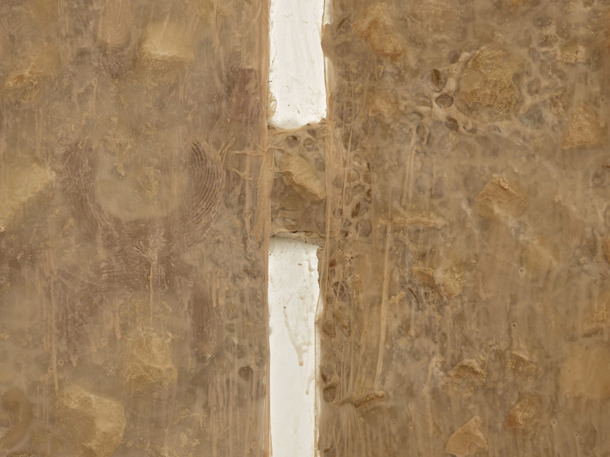 Melike Kara at Jan Kaps – Art Viewer