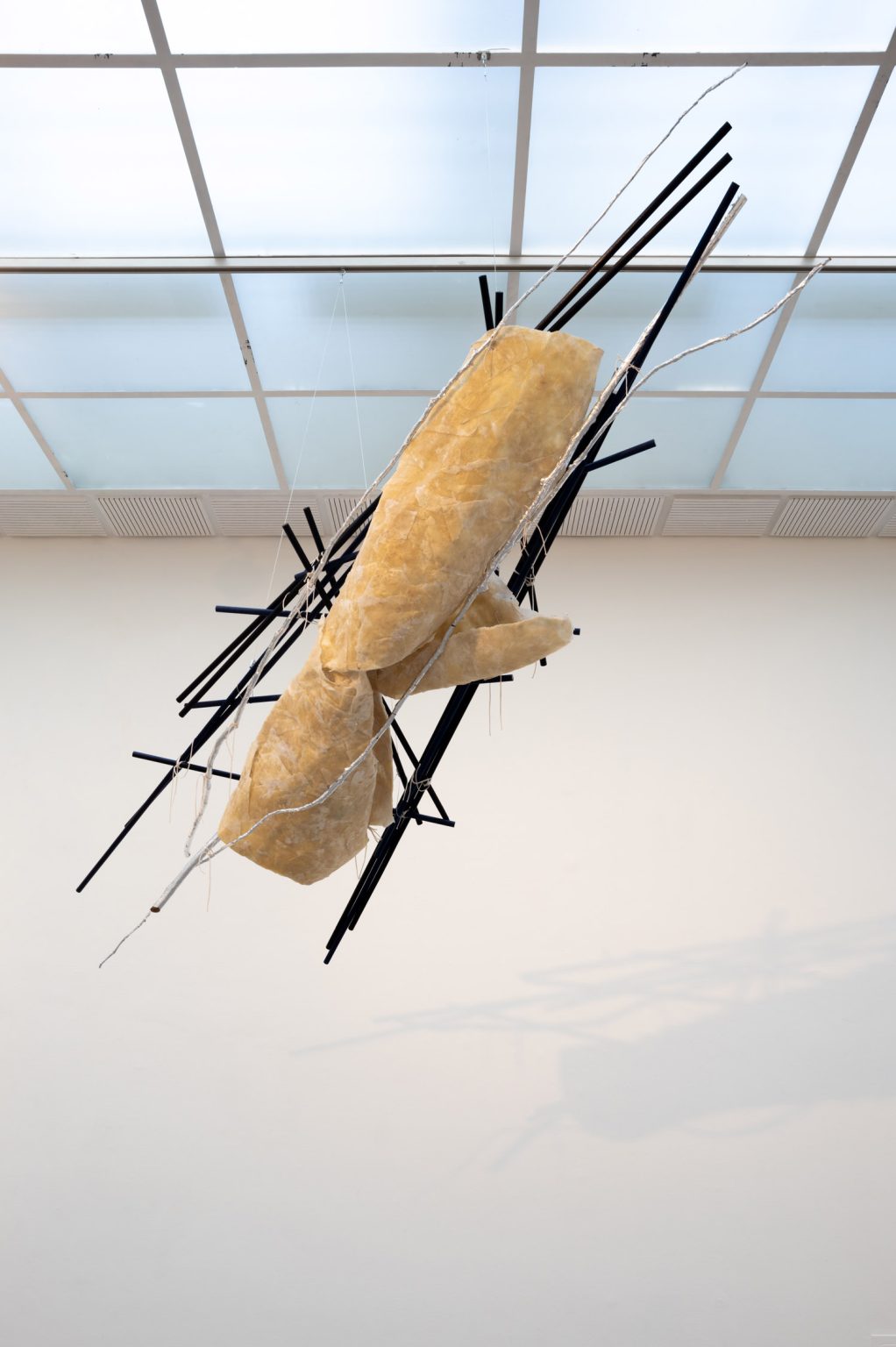 Daiga Grantina at Z33 – Art Viewer