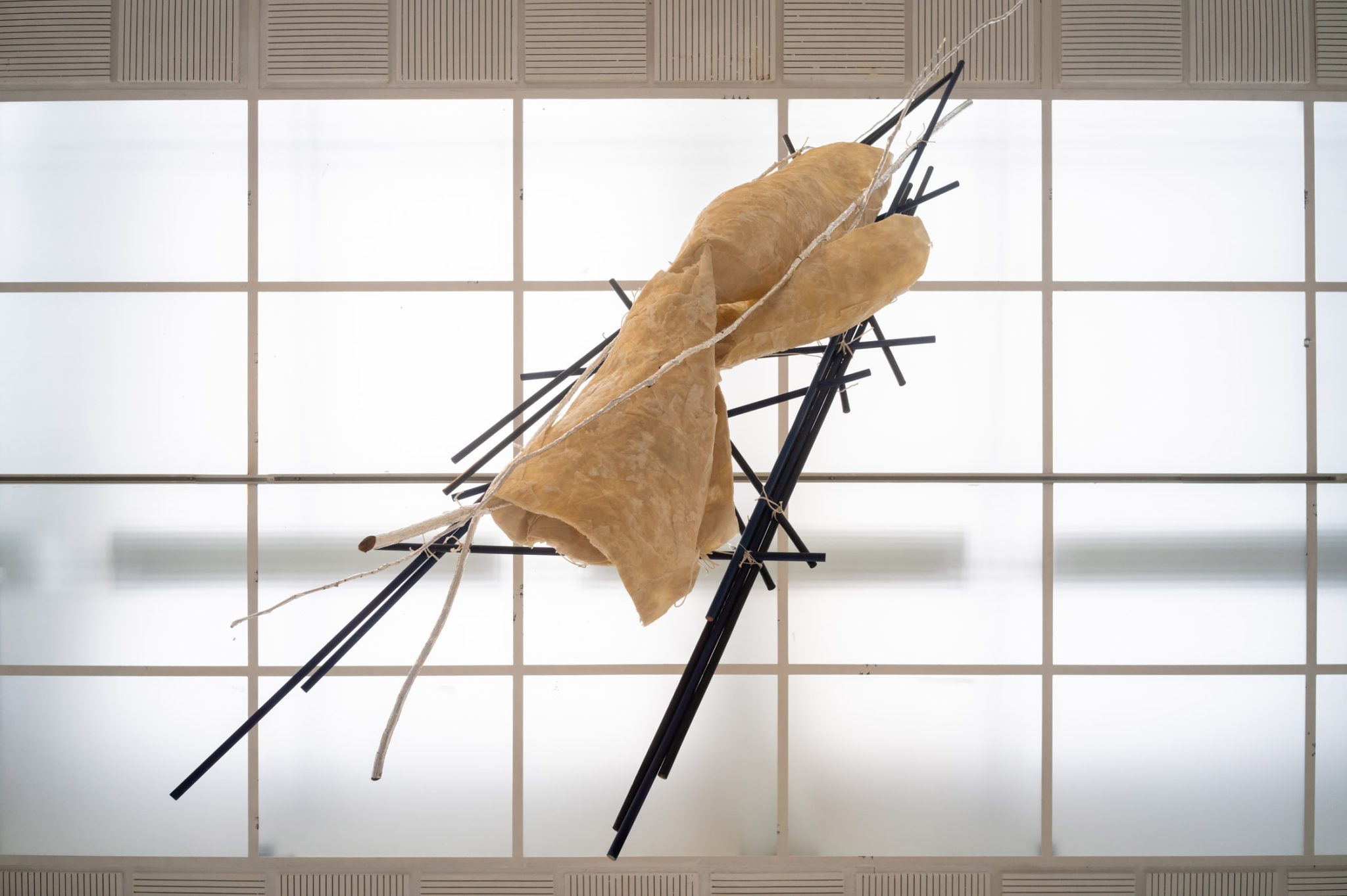 Daiga Grantina at Z33 – Art Viewer