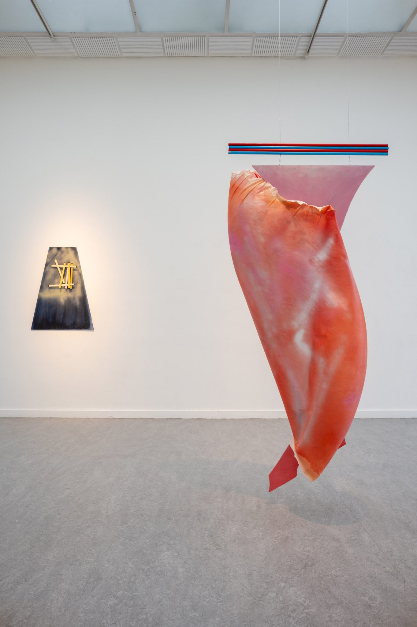 Daiga Grantina at Z33 – Art Viewer