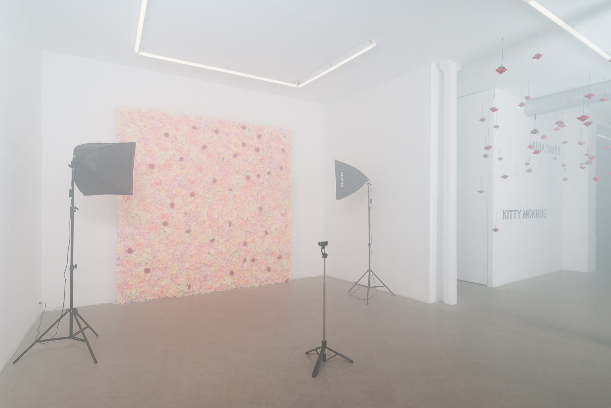 Puppies Puppies (Jade Guanaro Kuriki-Olivo) at Balice Hertling – Art Viewer