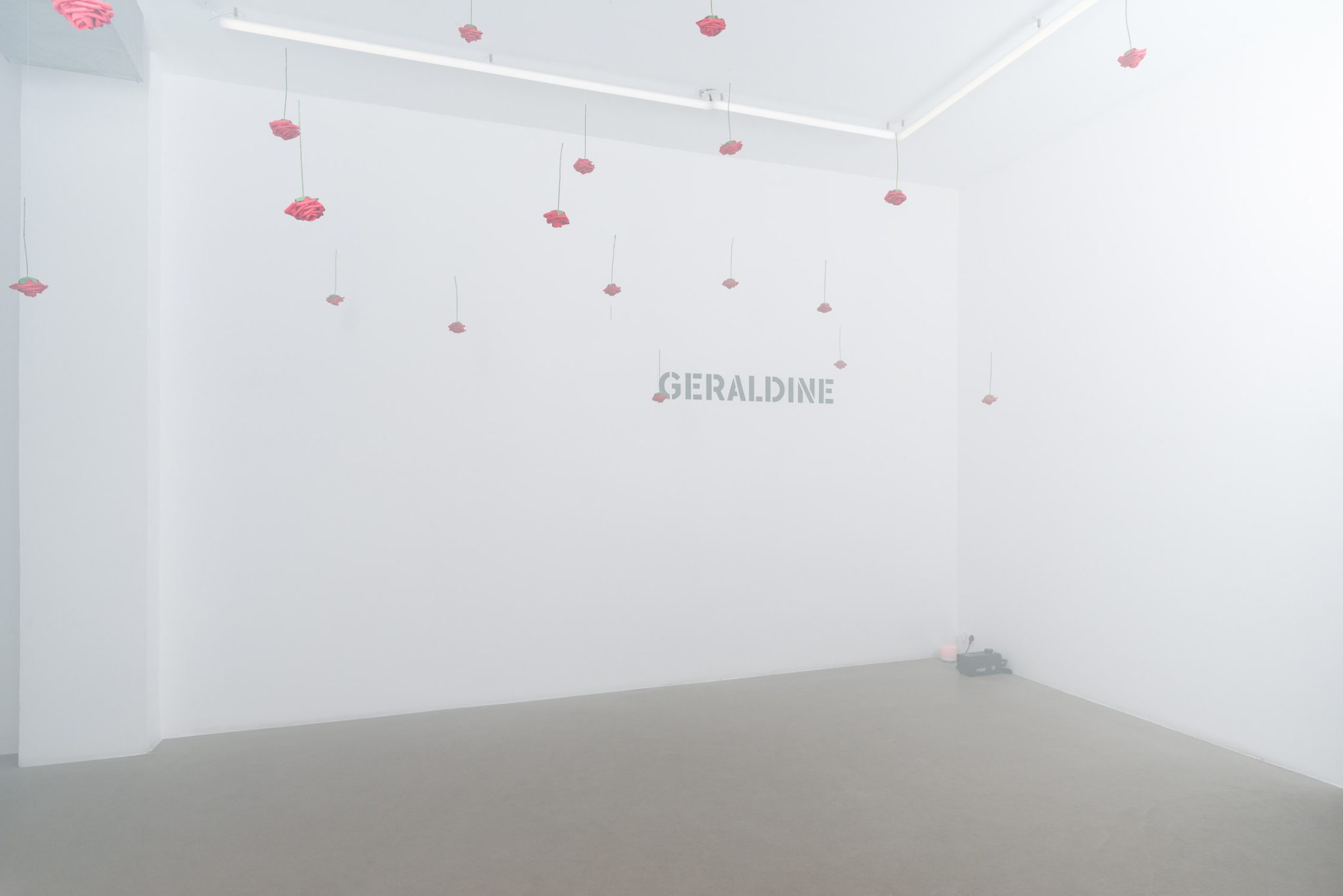 Puppies Puppies (Jade Guanaro Kuriki-Olivo) at Balice Hertling – Art Viewer