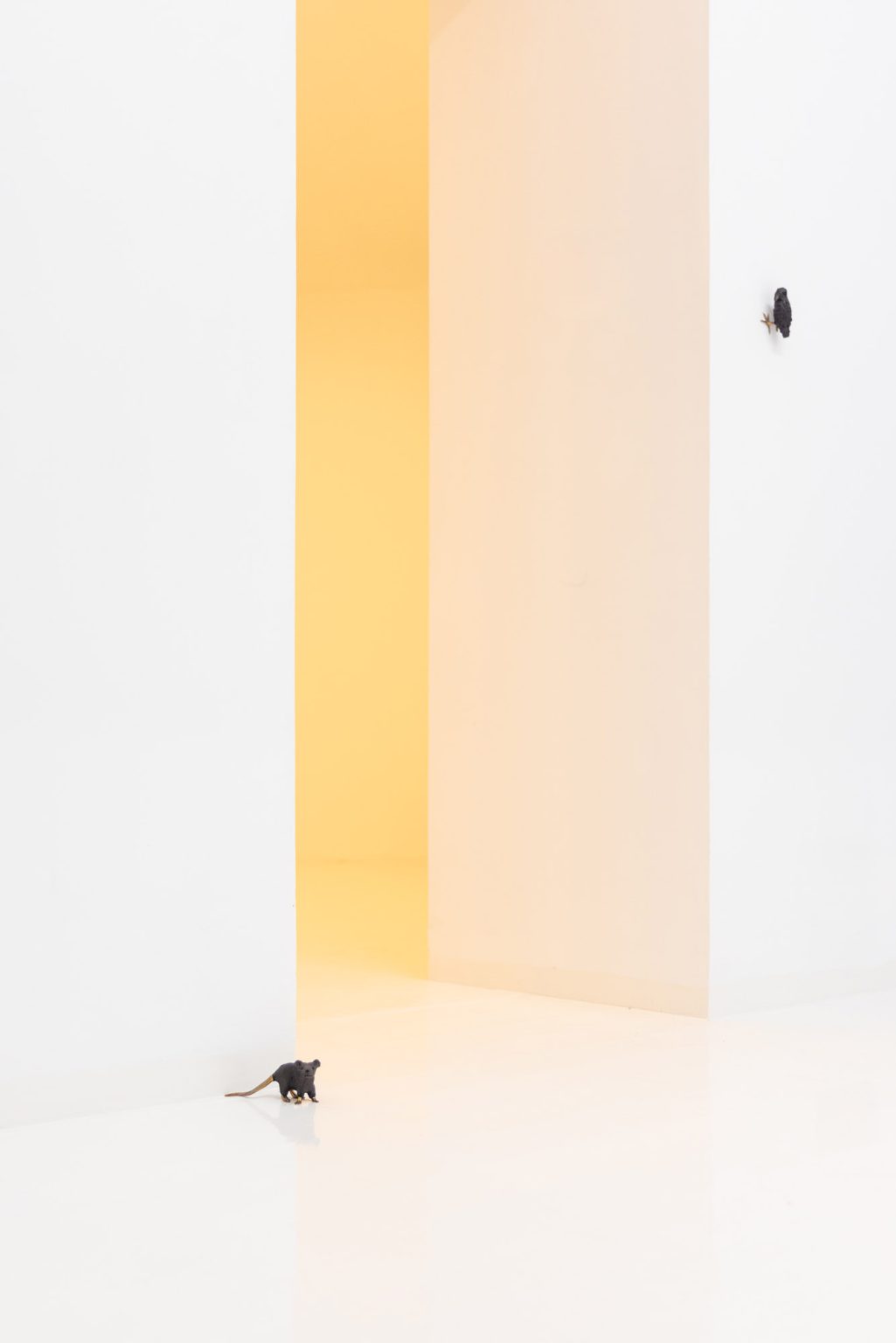 Elizabeth Jaeger at Capsule Shanghai – Art Viewer