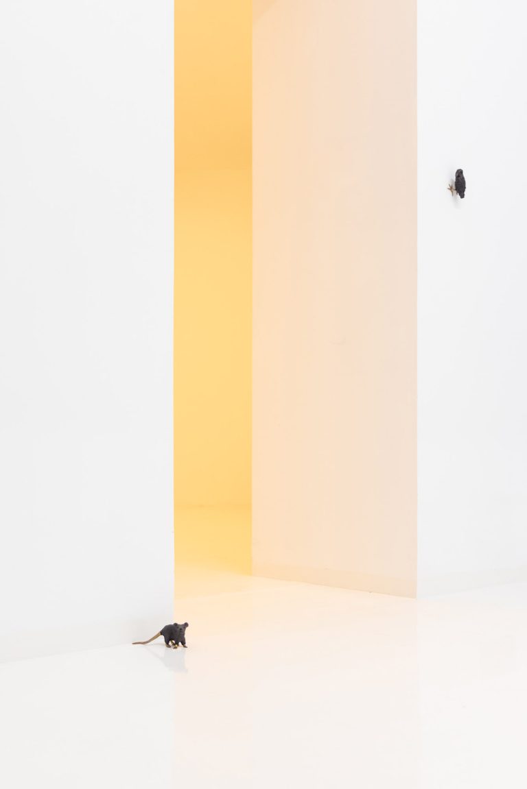 Elizabeth Jaeger at Capsule Shanghai – Art Viewer