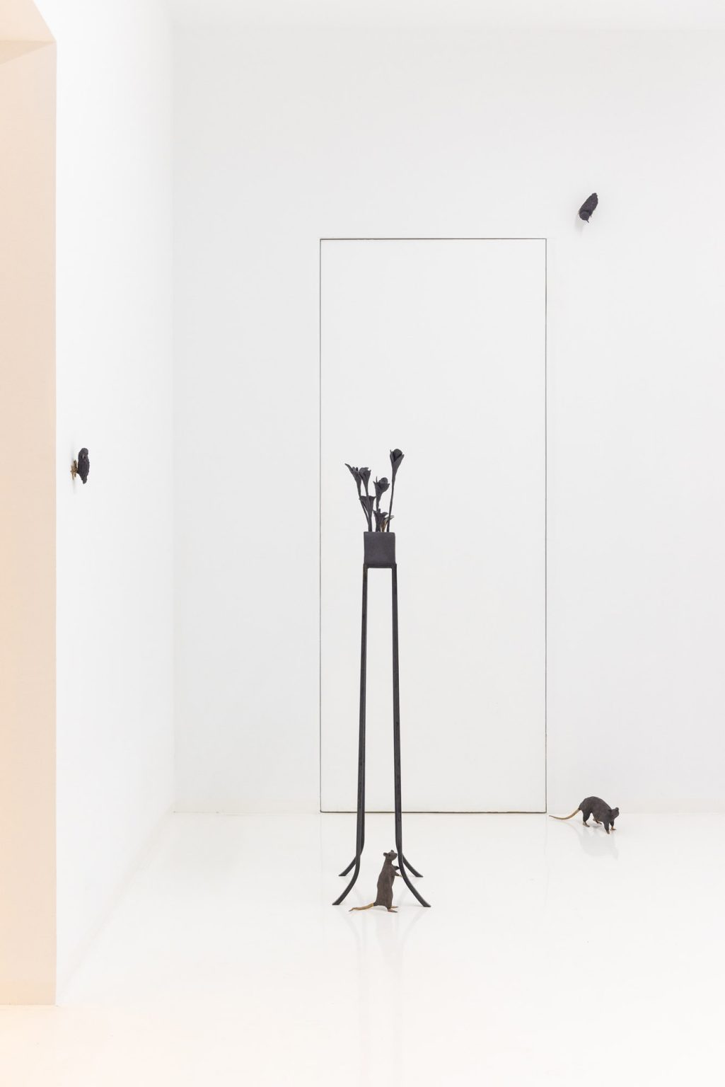 Elizabeth Jaeger at Capsule Shanghai – Art Viewer