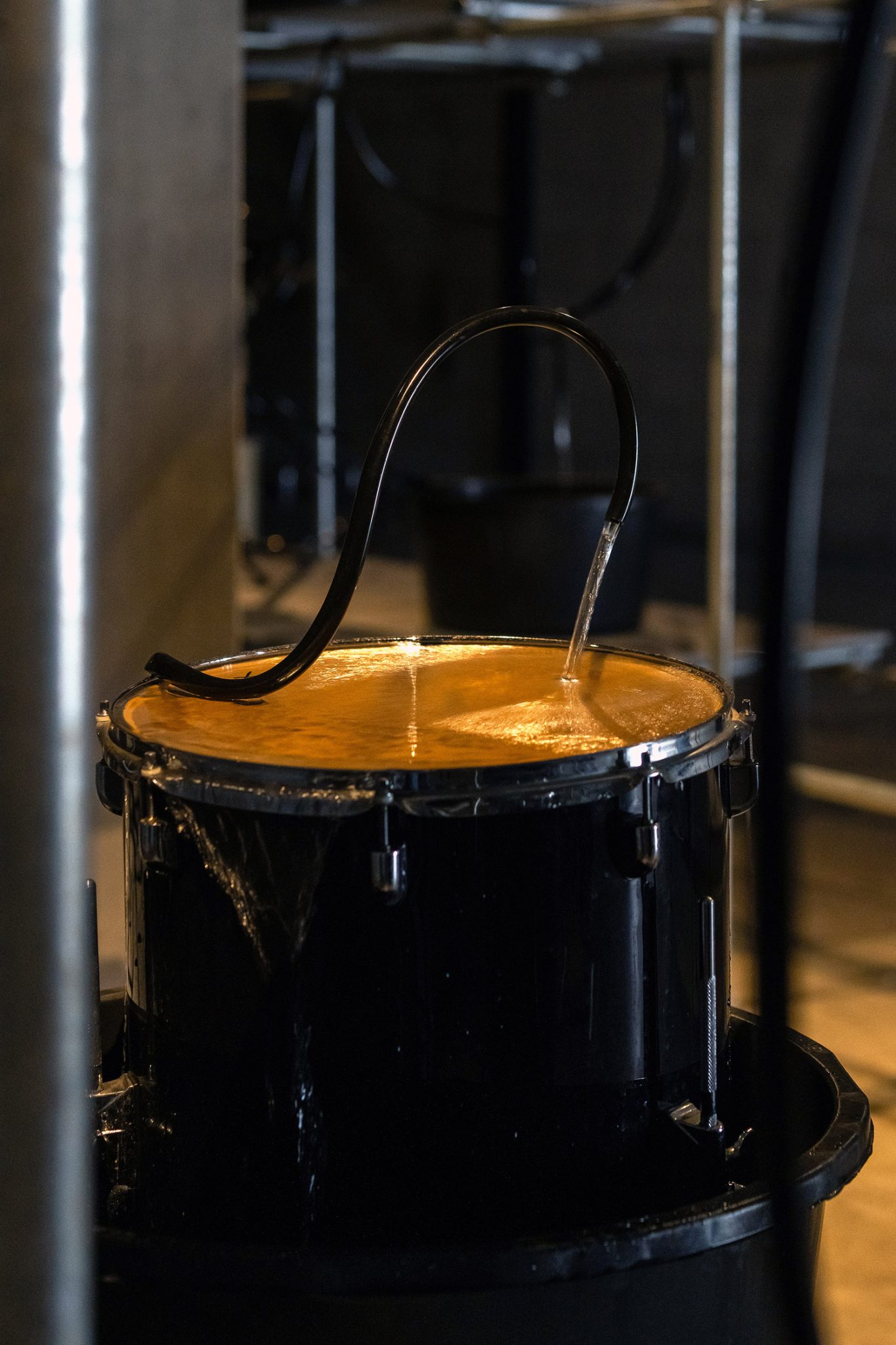 Nikita Gale at NEST, The Hague – Art Viewer