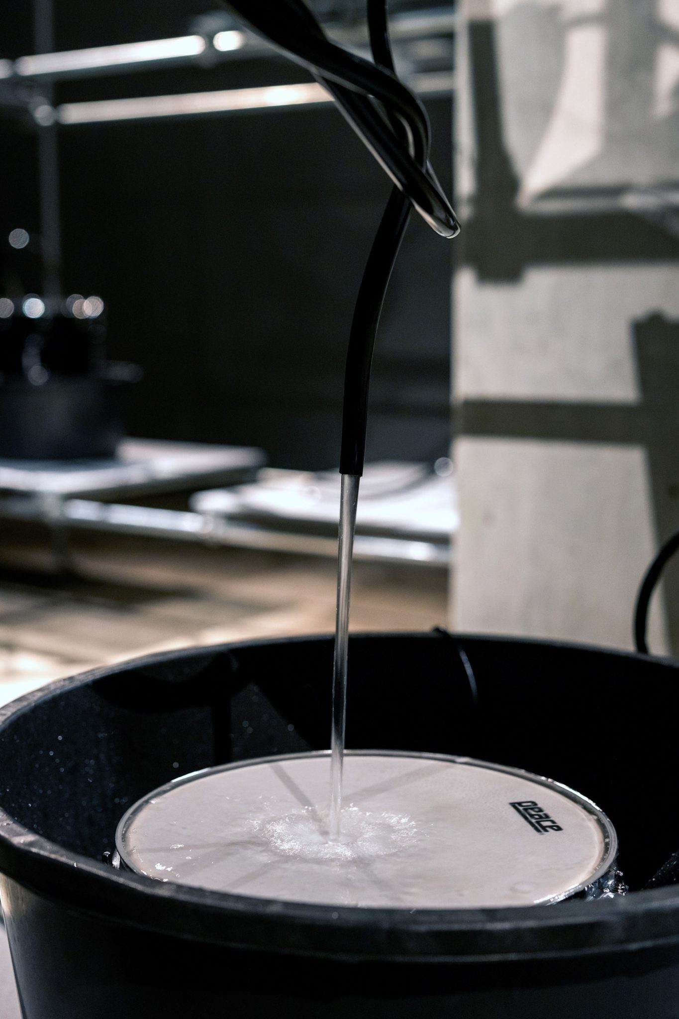 Nikita Gale at NEST, The Hague – Art Viewer