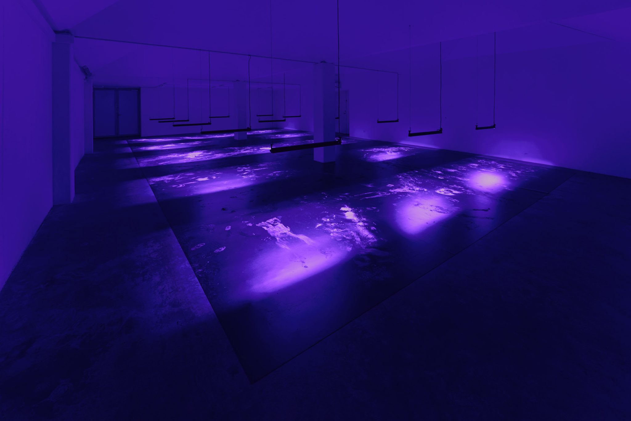 Reba Maybury at Simian, Copenhagen – Art Viewer