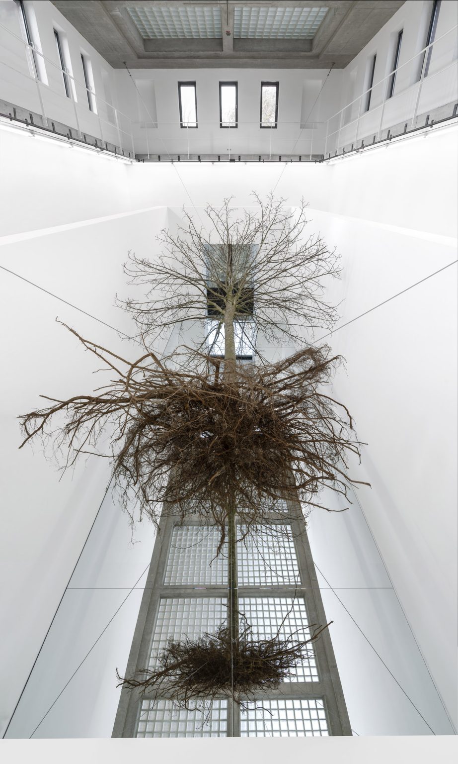 Adrian Piper at Portikus, Frankfurt – Art Viewer