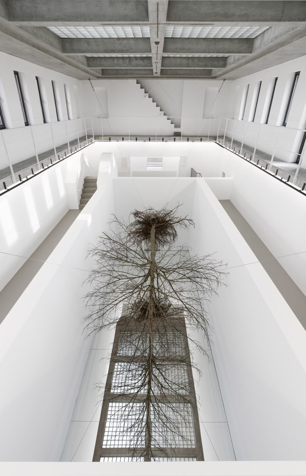 Adrian Piper at Portikus, Frankfurt – Art Viewer