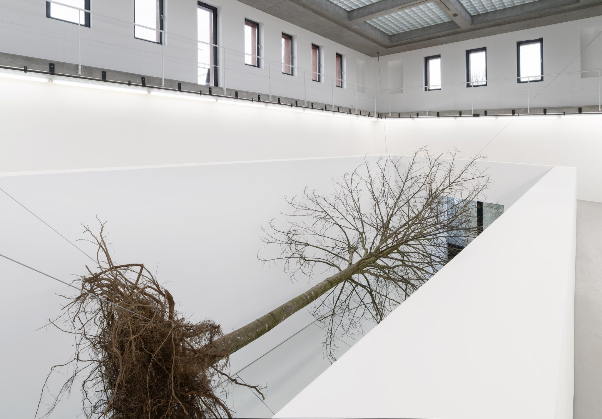 Adrian Piper at Portikus, Frankfurt – Art Viewer