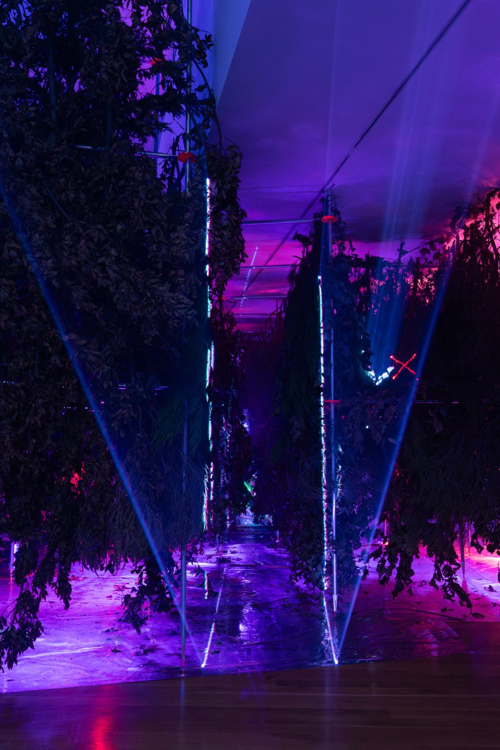 Jonathan Uliel Saldanha at Galeria Municipal do Porto – Art Viewer