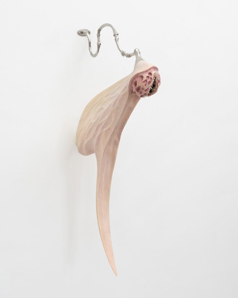 Liao Wen at Capsule Venice – Art Viewer